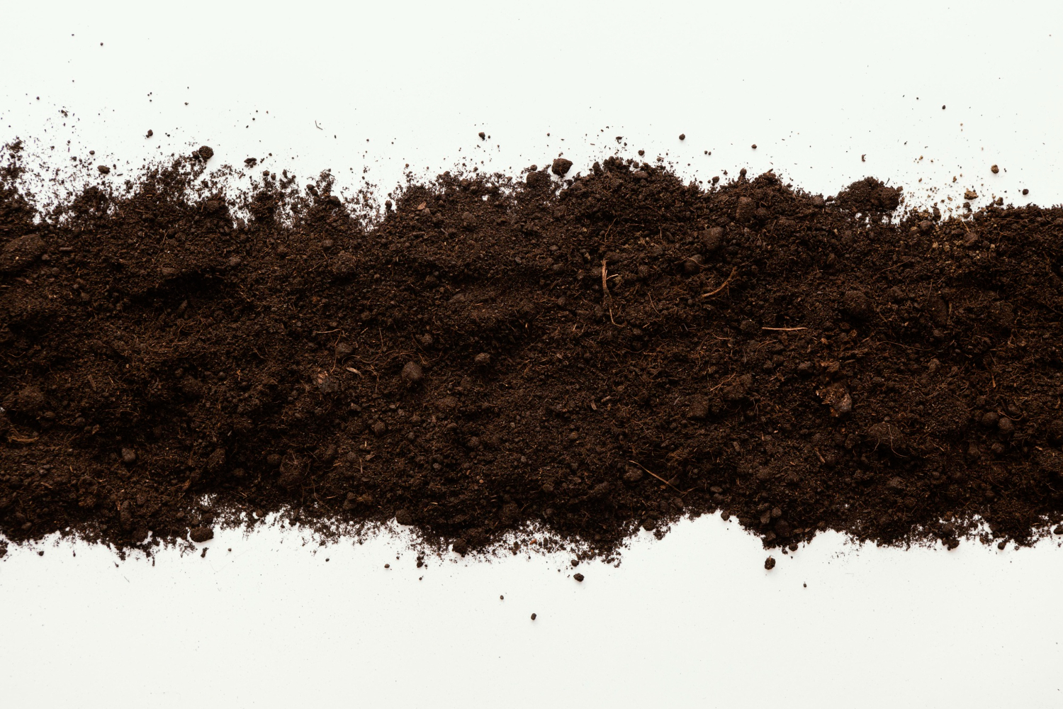 Ensuring the Stability of Your Texas Building: A Guide to Foundation ...